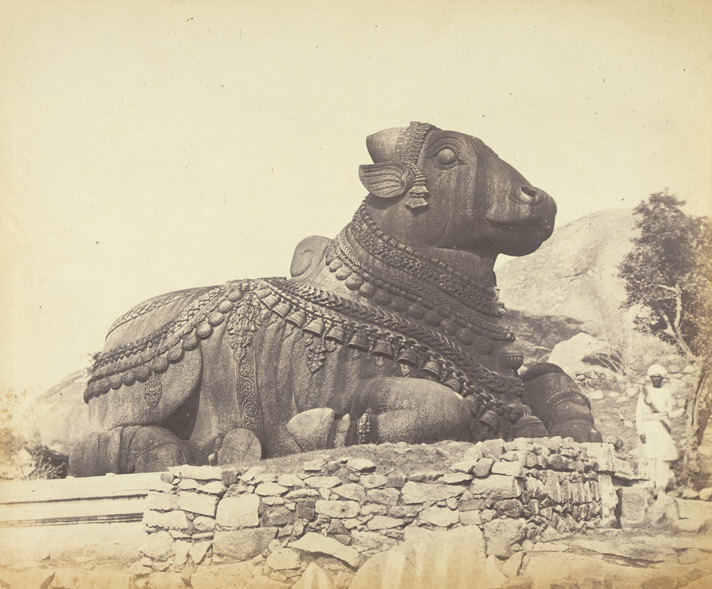 Granite bull on Chahmundy [Mysore] ~ Ancient photos of India